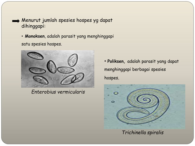 Mikrobiologi dan parasitologi | PPTX