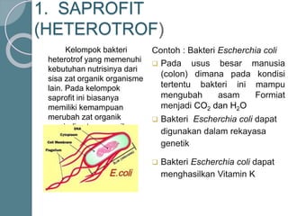 Mikrobiologi dan parasitologi | PPT