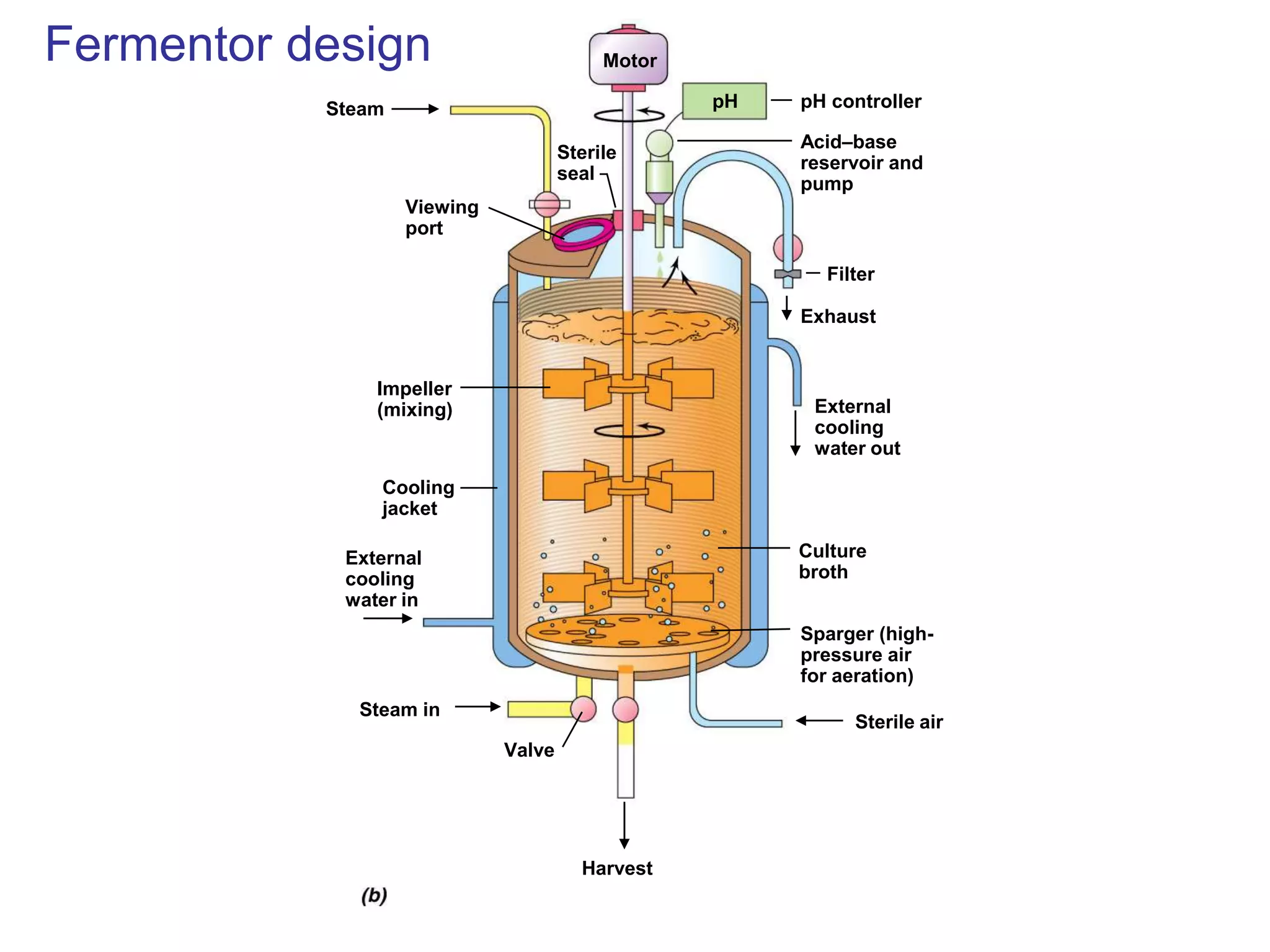 Mikrobiologi Industri.ppt