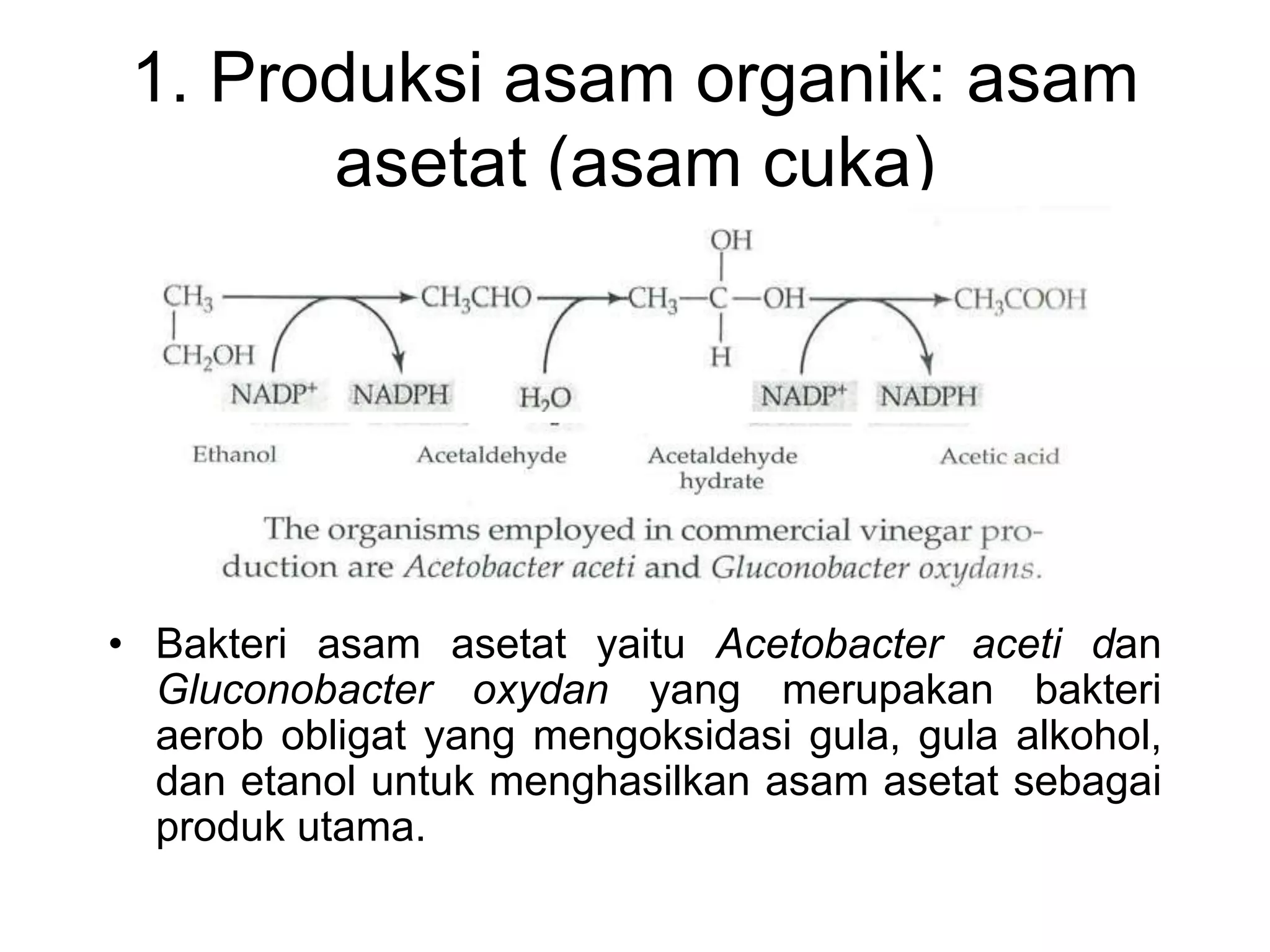 Mikrobiologi Industri.ppt