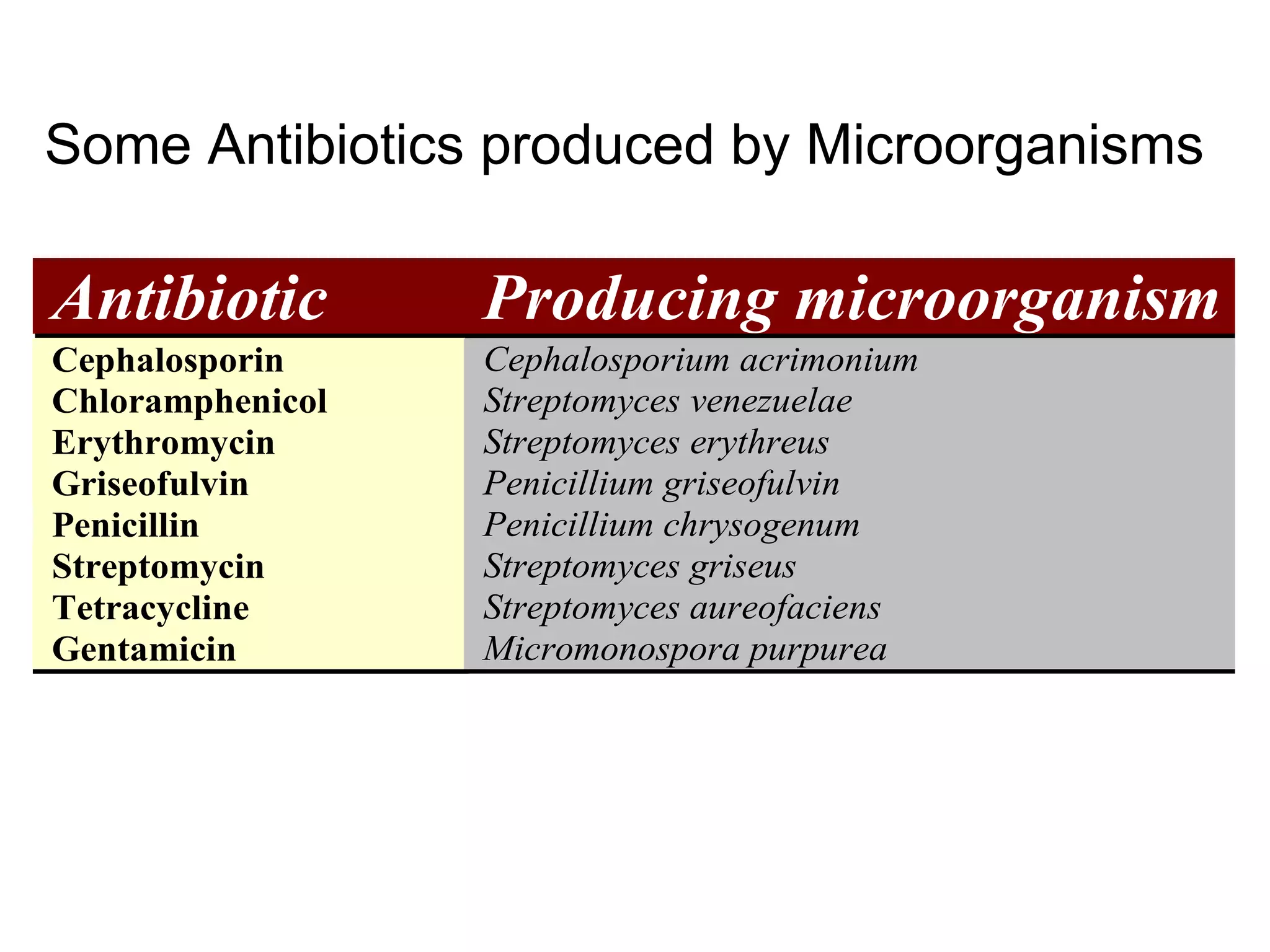 Mikrobiologi Industri.ppt