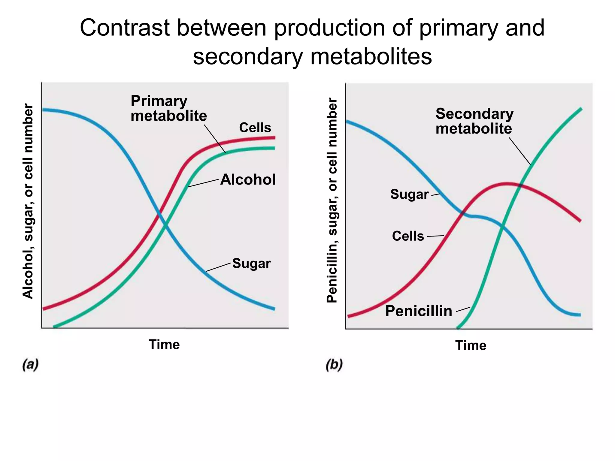 Mikrobiologi Industri.ppt