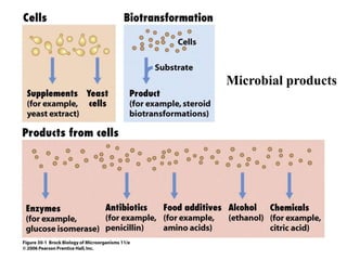 Mikrobiologi Industri.ppt