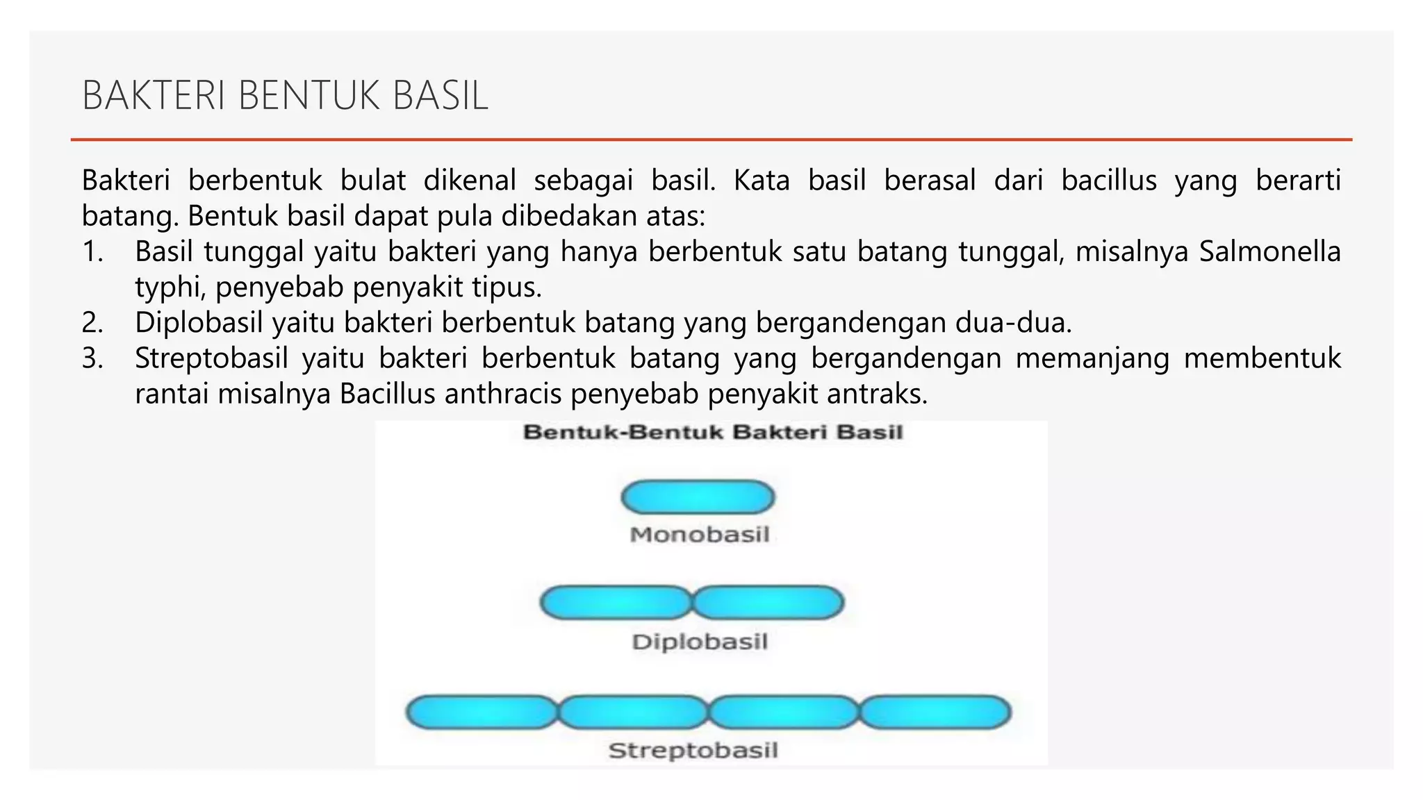 Mikrobiologi (Kelompok 8).pptx
