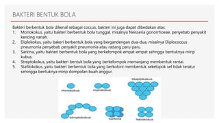 Mikrobiologi (Kelompok 8).pptx