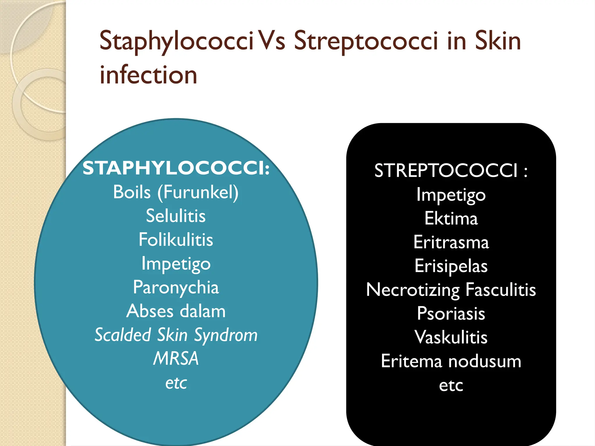 mikrobiologi kuman strepto dan staphylo.pptx