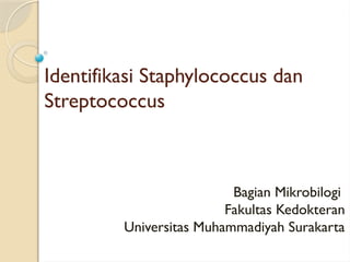 mikrobiologi kuman strepto dan staphylo.pptx