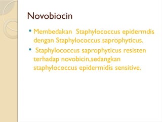mikrobiologi kuman strepto dan staphylo.pptx