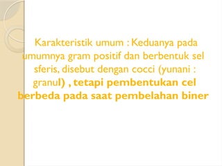 mikrobiologi kuman strepto dan staphylo.pptx