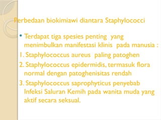 mikrobiologi kuman strepto dan staphylo.pptx