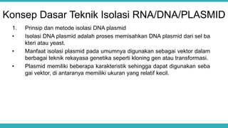 MIKROBIOLOGI MOLEKUL KEL. 6.pptx