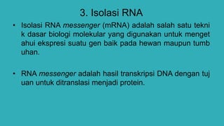 MIKROBIOLOGI MOLEKUL KEL. 6.pptx