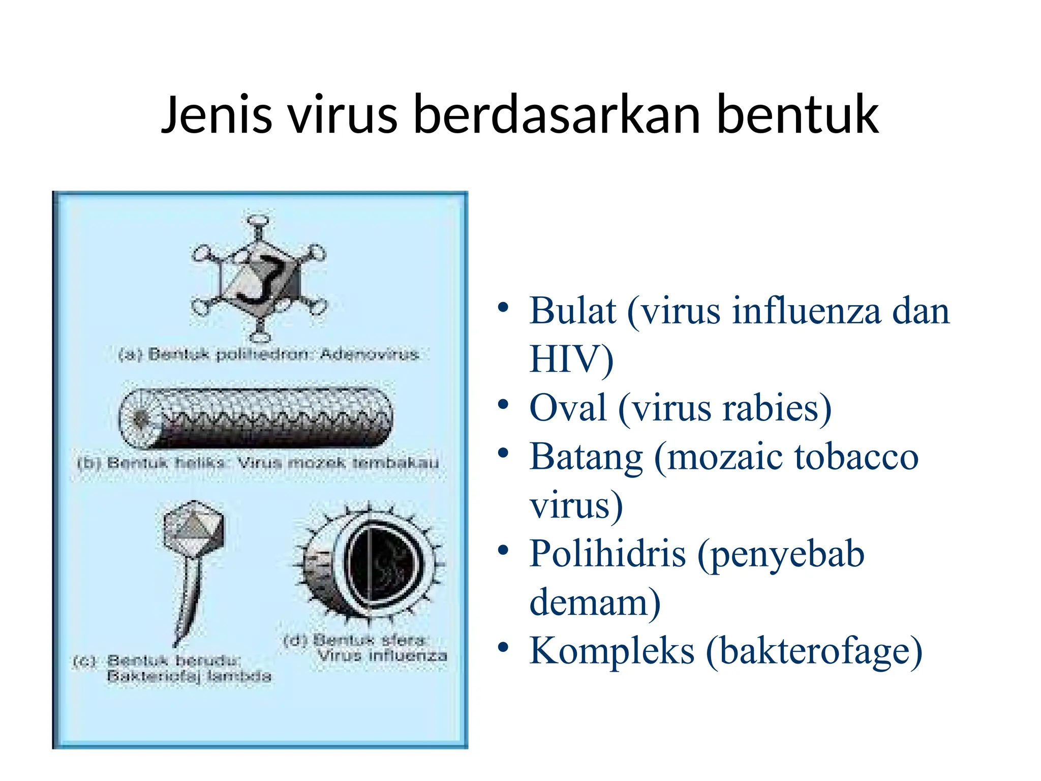 MIKROBIOLOGI PERAIRAN 11.VIRUS pada Ikan pptx | PPTX