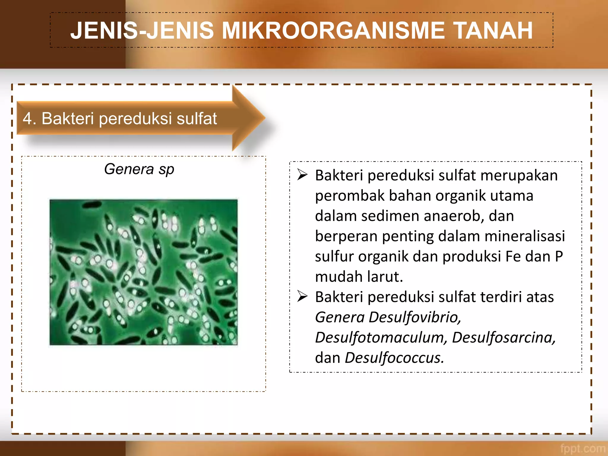 Mikrobiologi_pertanian_rtf.ppt