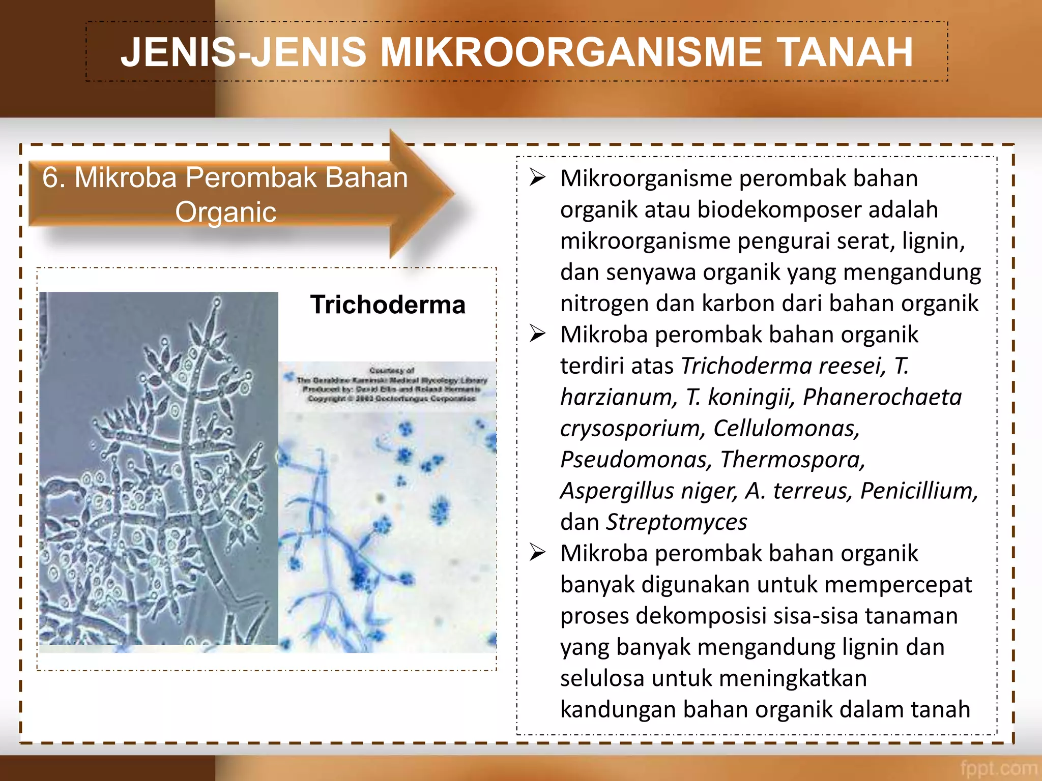 Mikrobiologi_pertanian_rtf.ppt