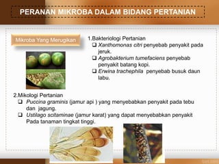 Mikrobiologi_pertanian_rtf.ppt
