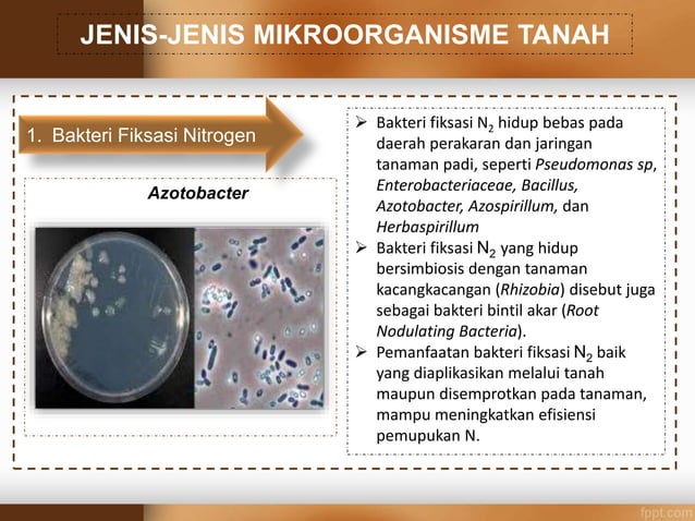 Mikrobiologi_pertanian_rtf.ppt