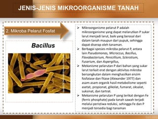 Mikrobiologi_pertanian_rtf.ppt