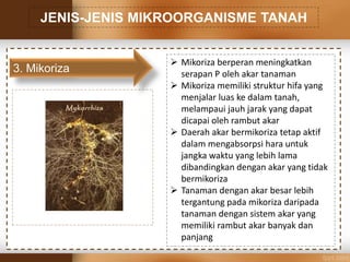 Mikrobiologi_pertanian_rtf.ppt