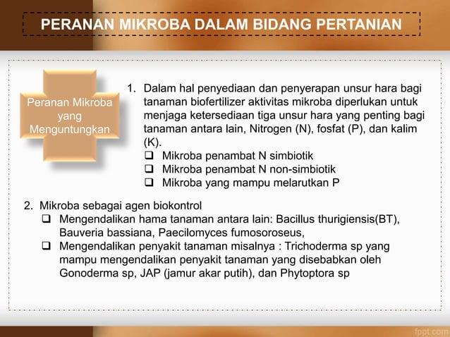 Mikrobiologi_pertanian_rtf.ppt