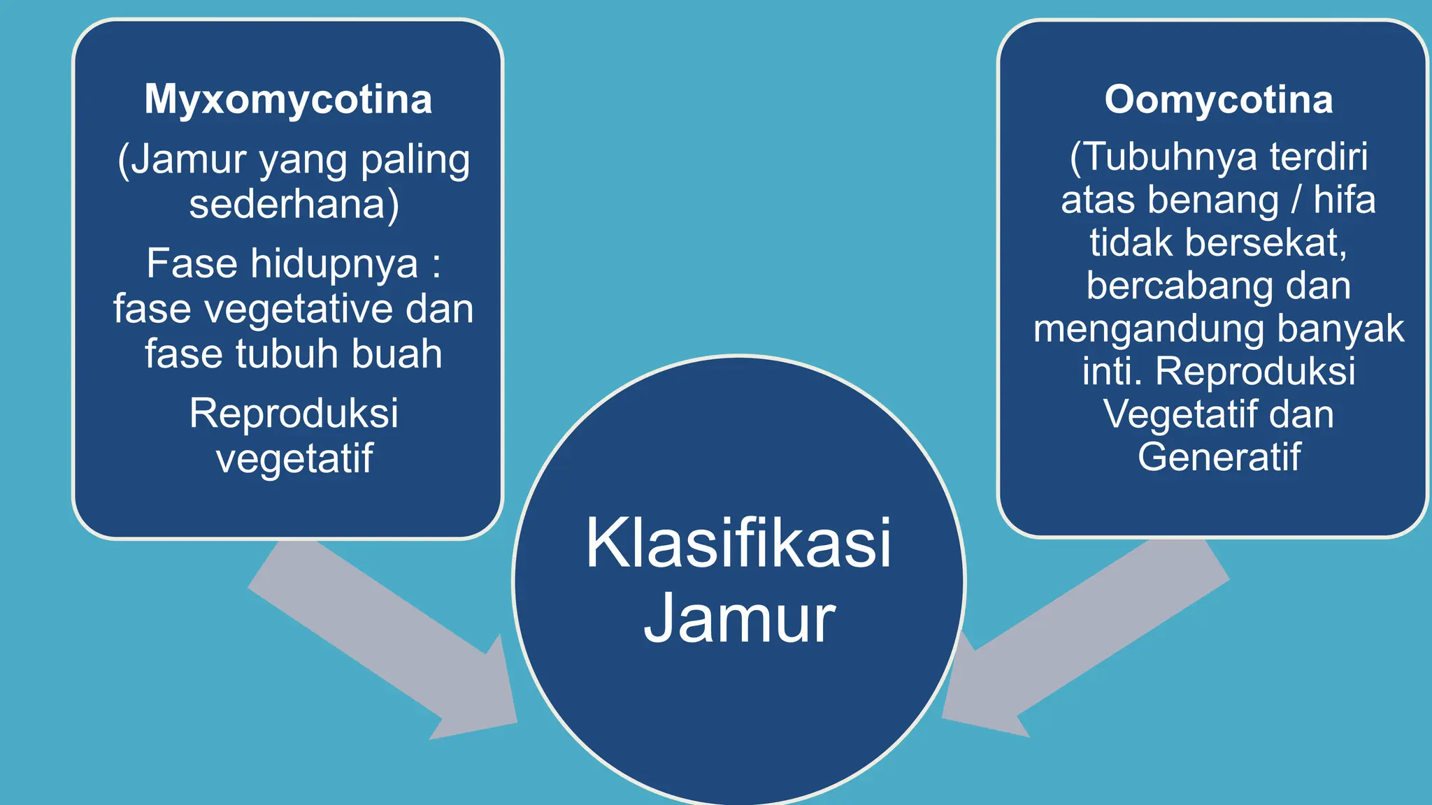 MK MIKROBIOLOGI Mikroorganisme Virus dan Jamur.pptx