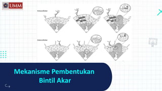MIKROBIOLOGI TANAMAN kabupaten gresik jawa timur | PPTX