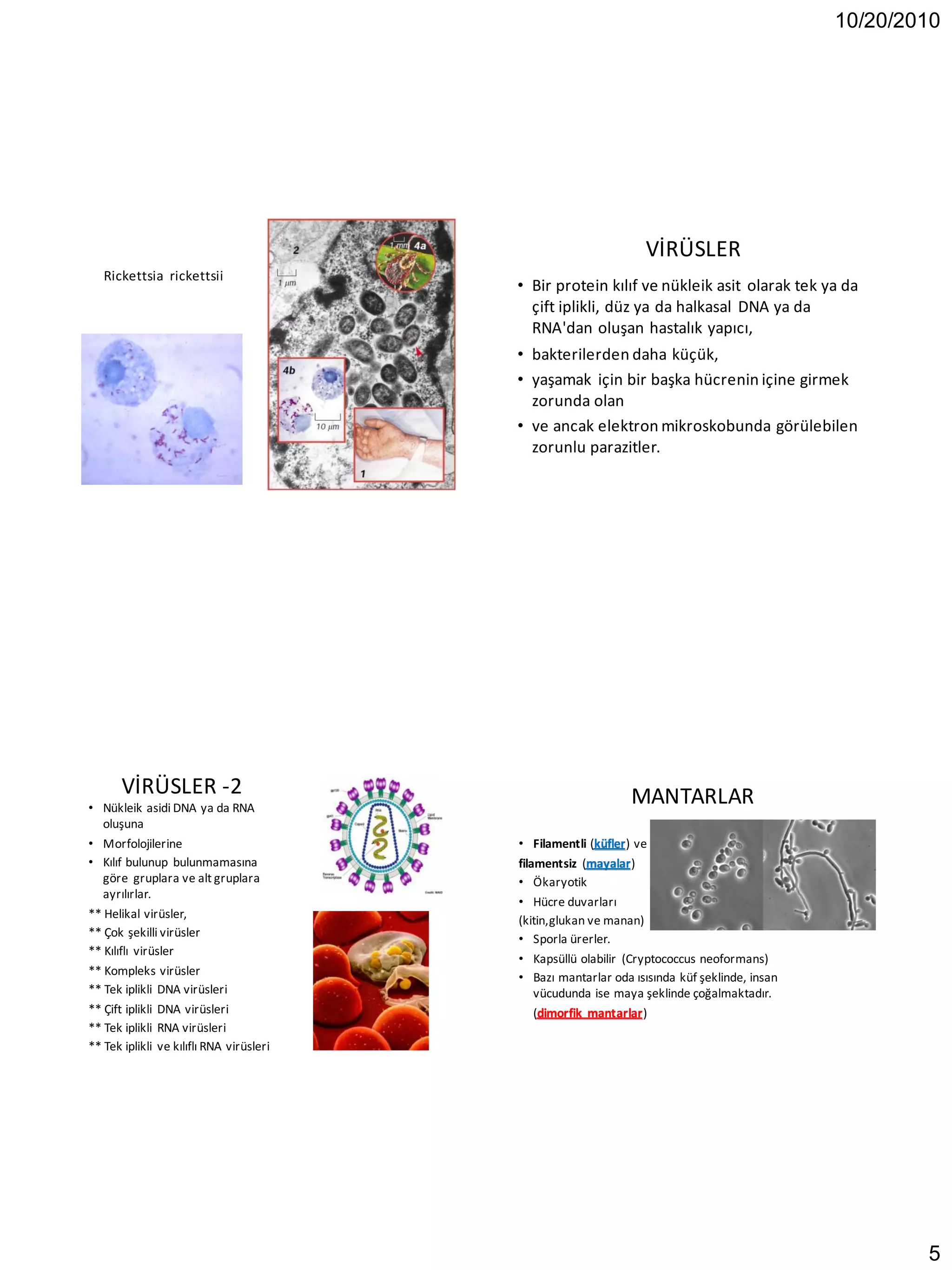 Mikrobio tanı ve tedavi | PDF