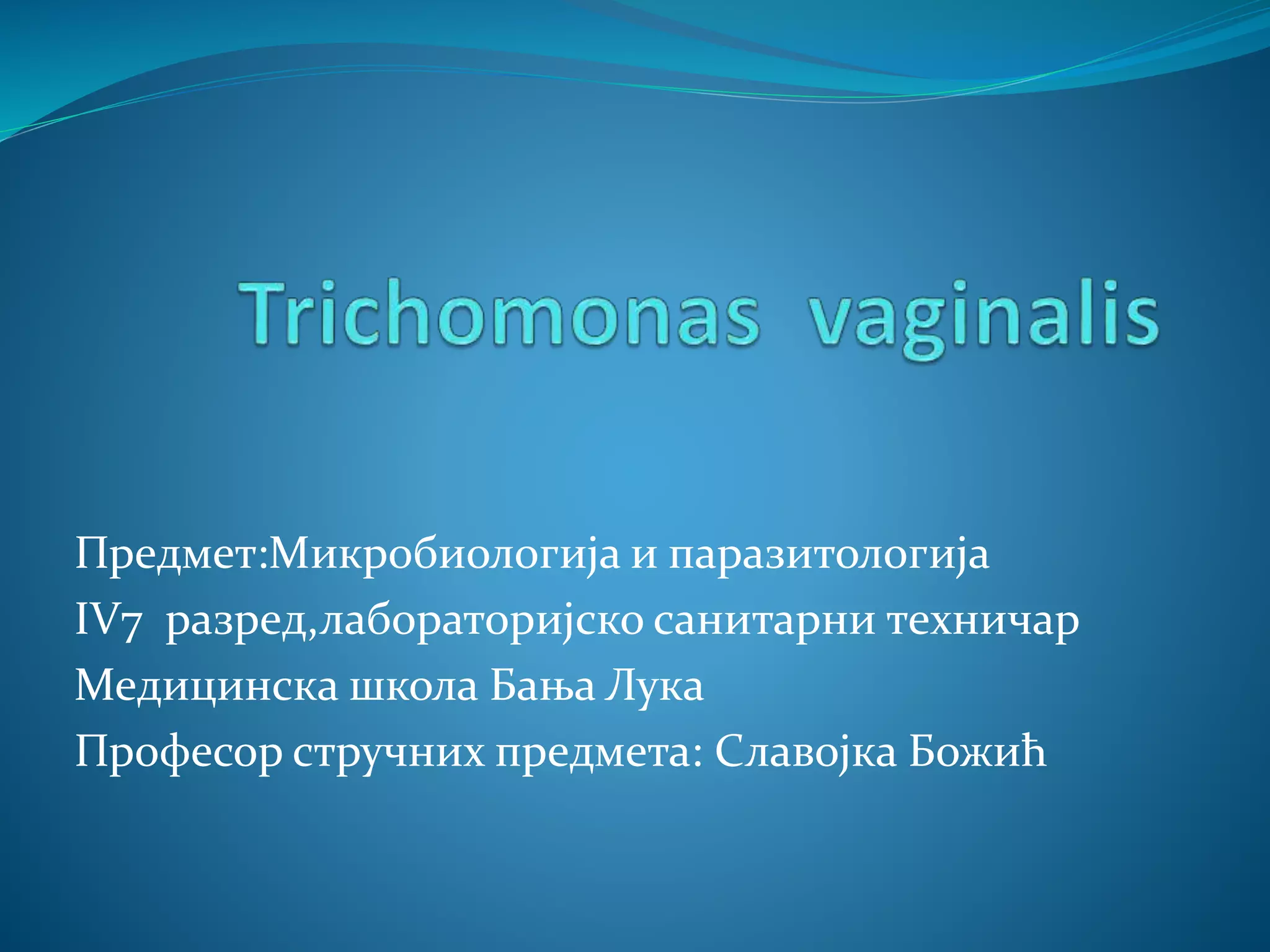 Trichomonas Vaginalis Ppt