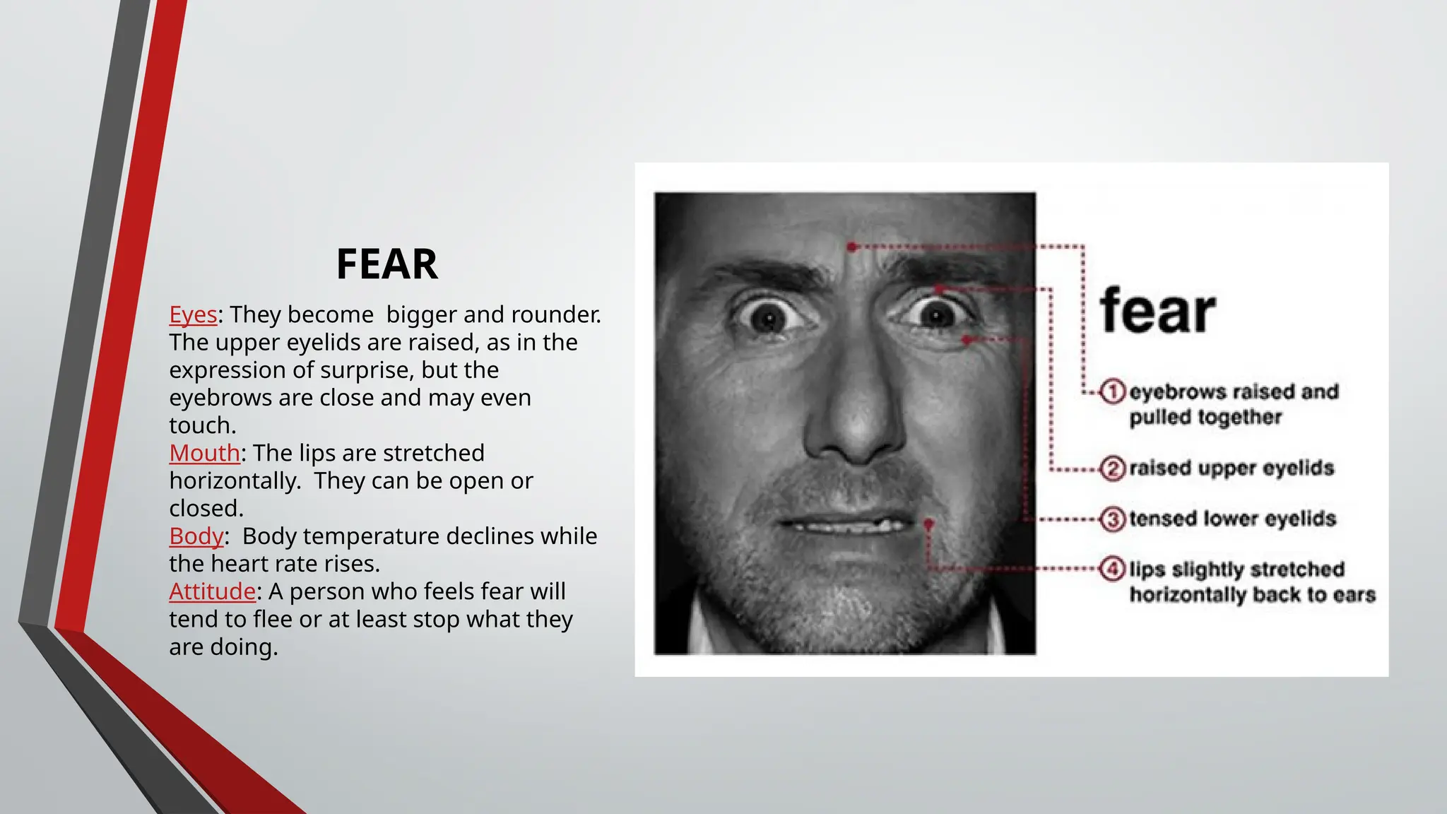 Mikro Ekspresi Wajah dan pemahaman lebih lanjut | PPTX
