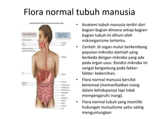 mikroflora bakteri I.ppt.pdf