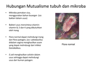 mikroflora bakteri I.ppt.pdf