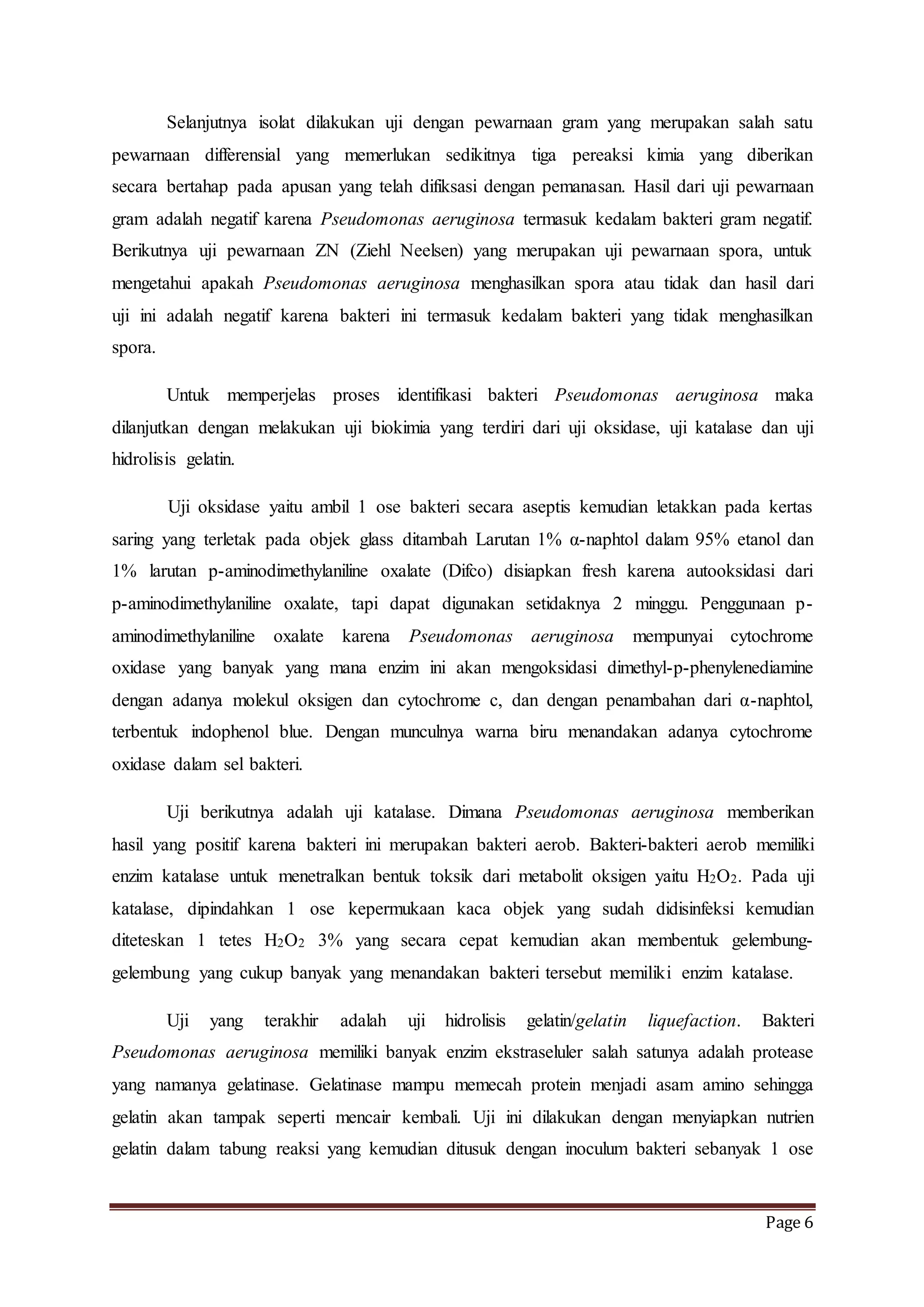 Mikro makalah pseudomonas aeruginosa | DOCX