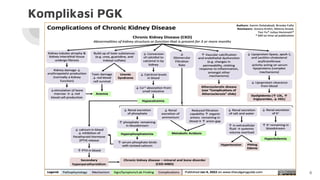 Mikronutrien Pada CHRONIC KIDNEY DISEASE | PDF