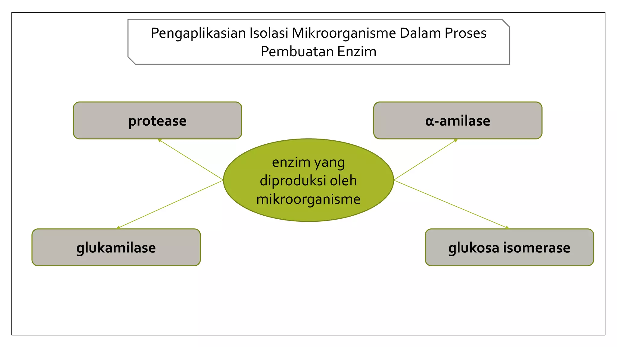 Isolasi Enzim dari Mikroorganisme | PPTX