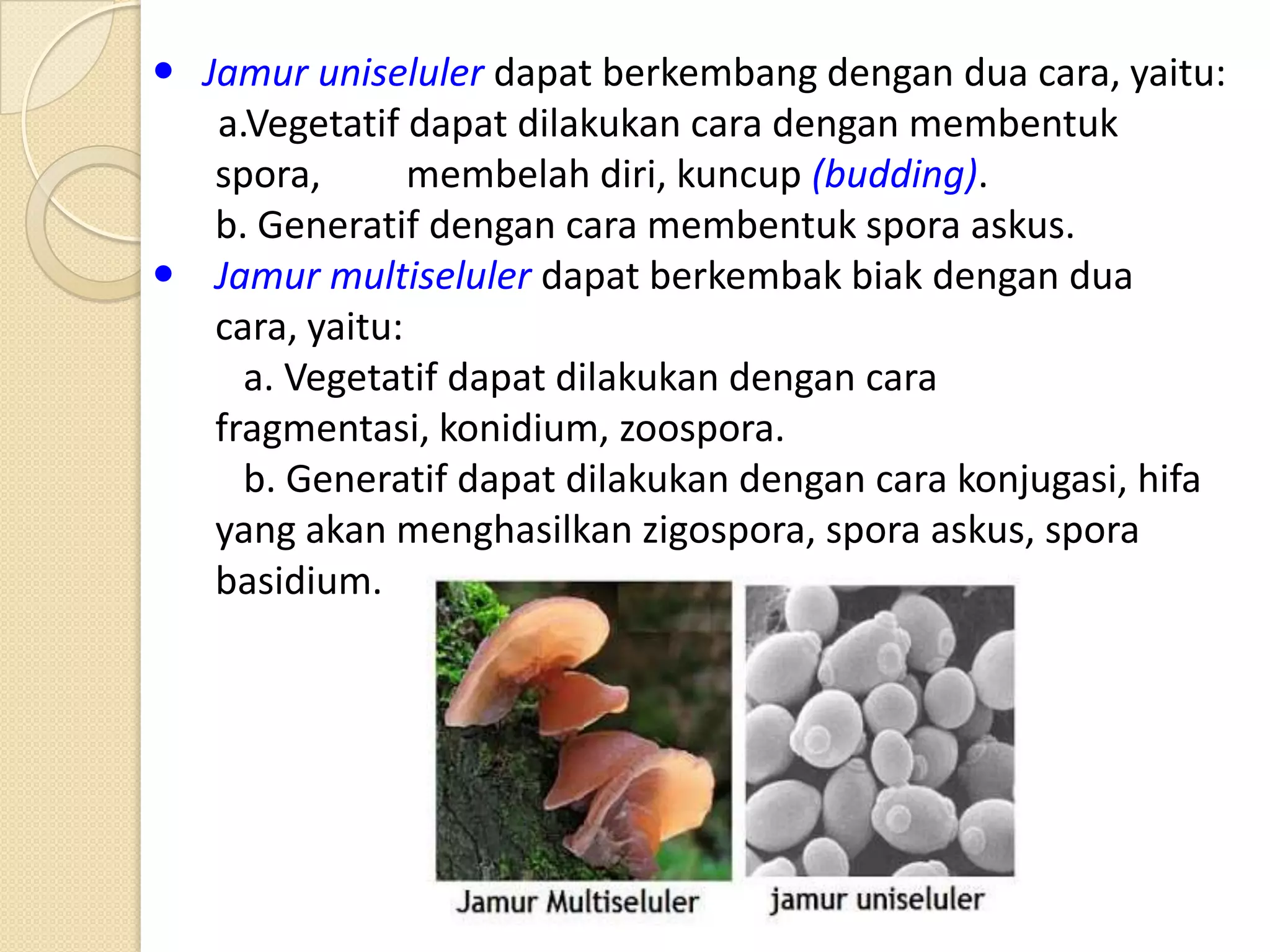 Mikroorganisme | PPTX