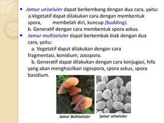 Mikroorganisme | PPTX