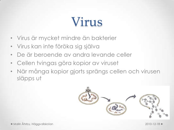 Bakterier och virus