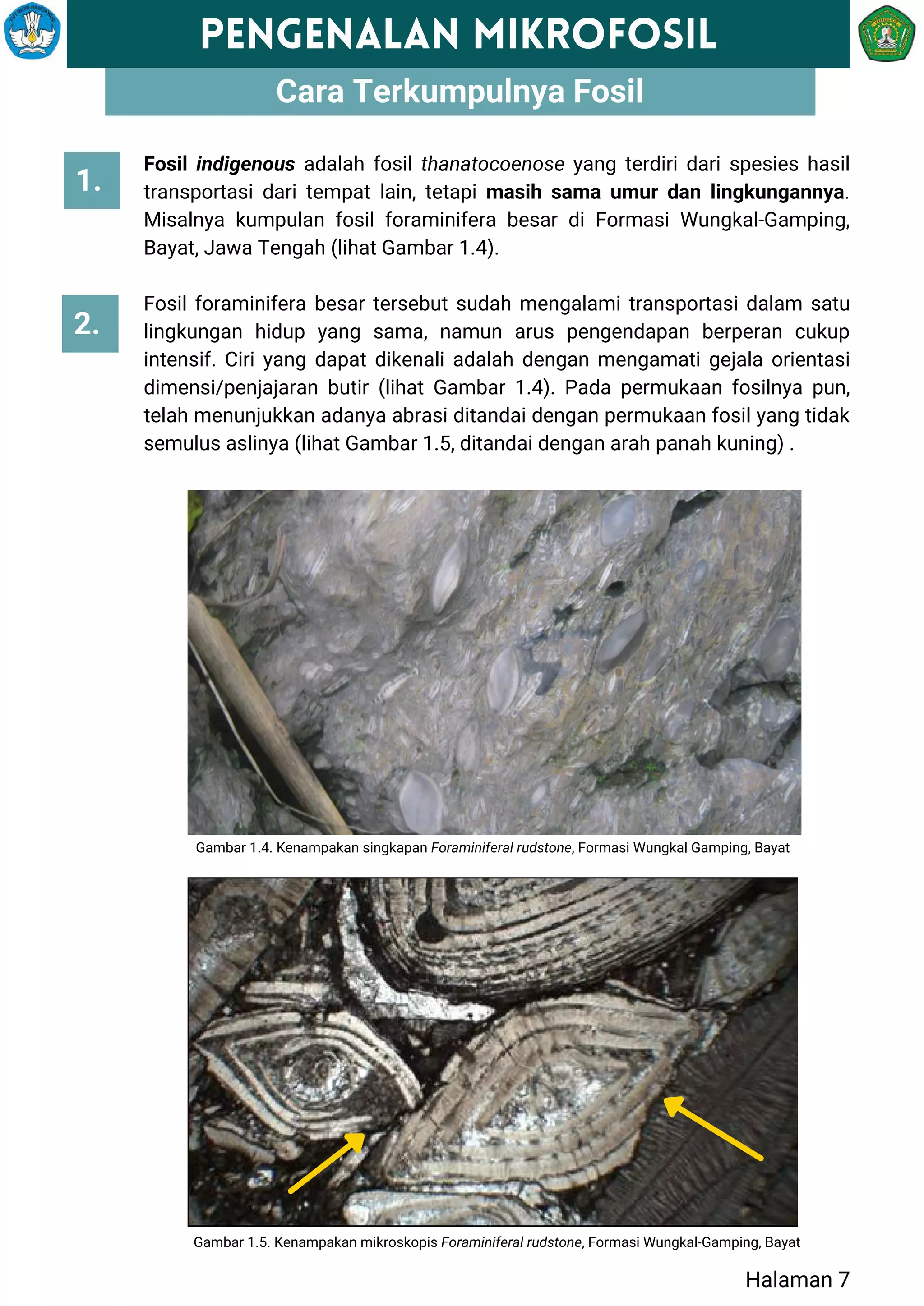 Mikropaleontologi.pdf