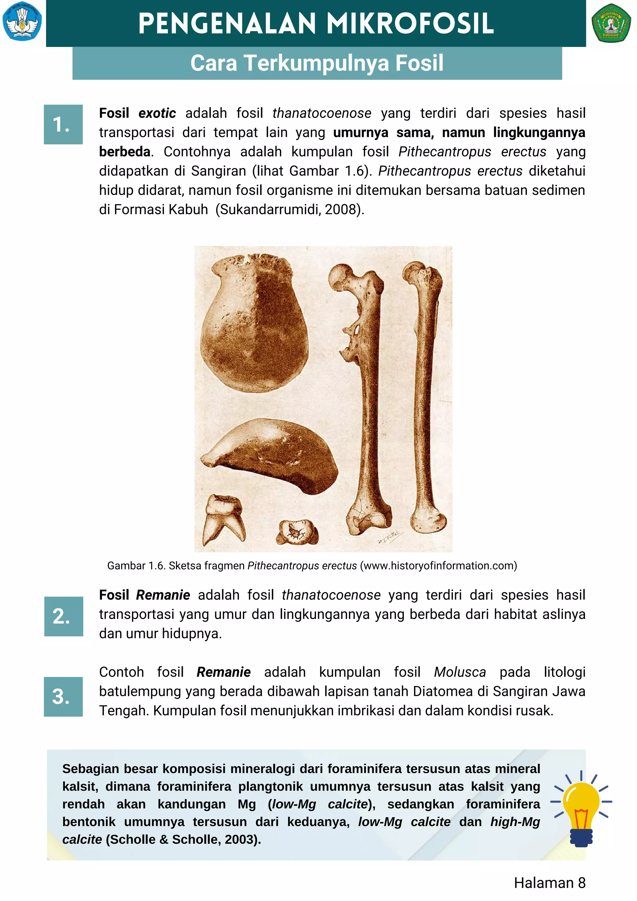 Mikropaleontologi.pdf