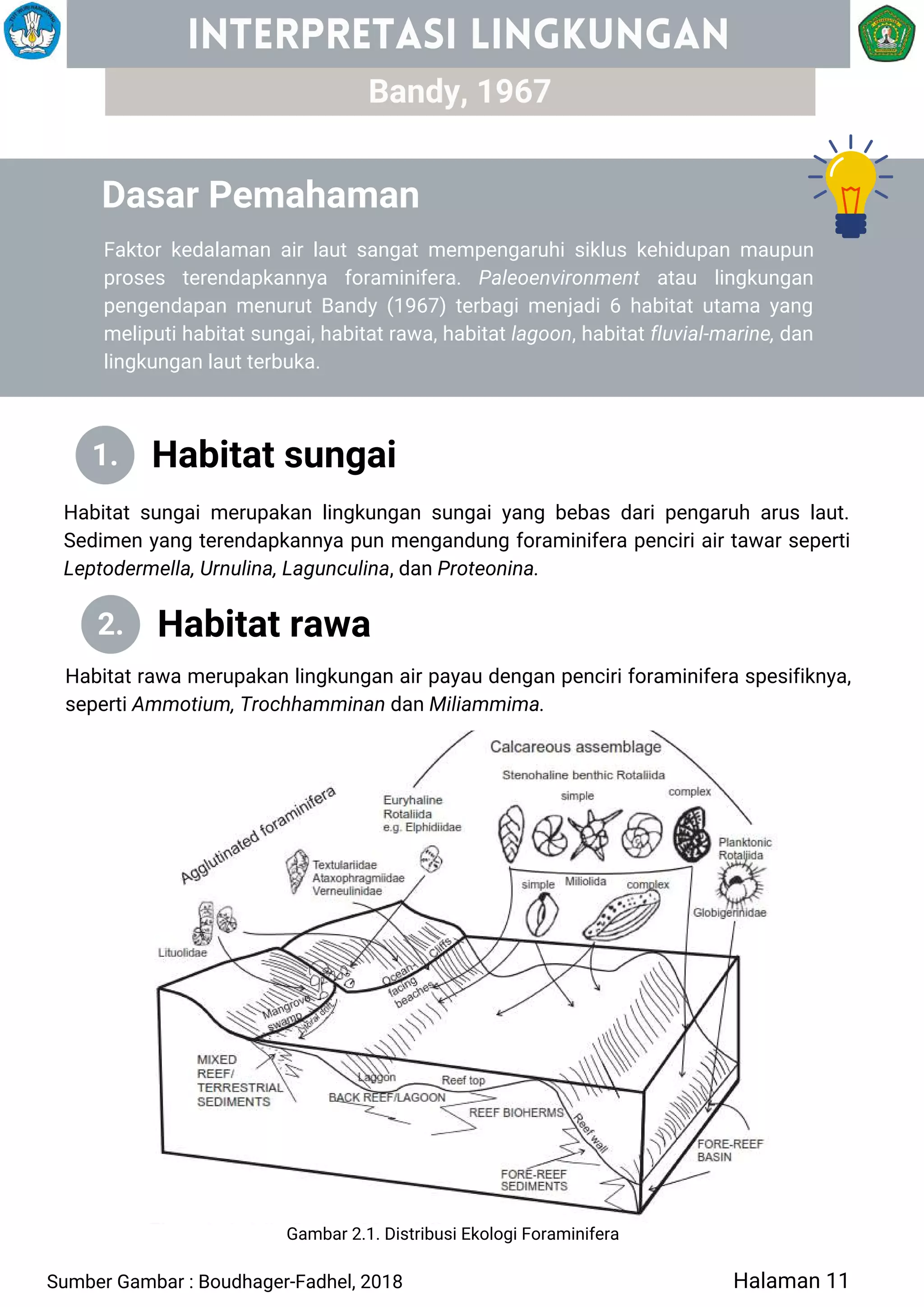 Mikropaleontologi.pdf