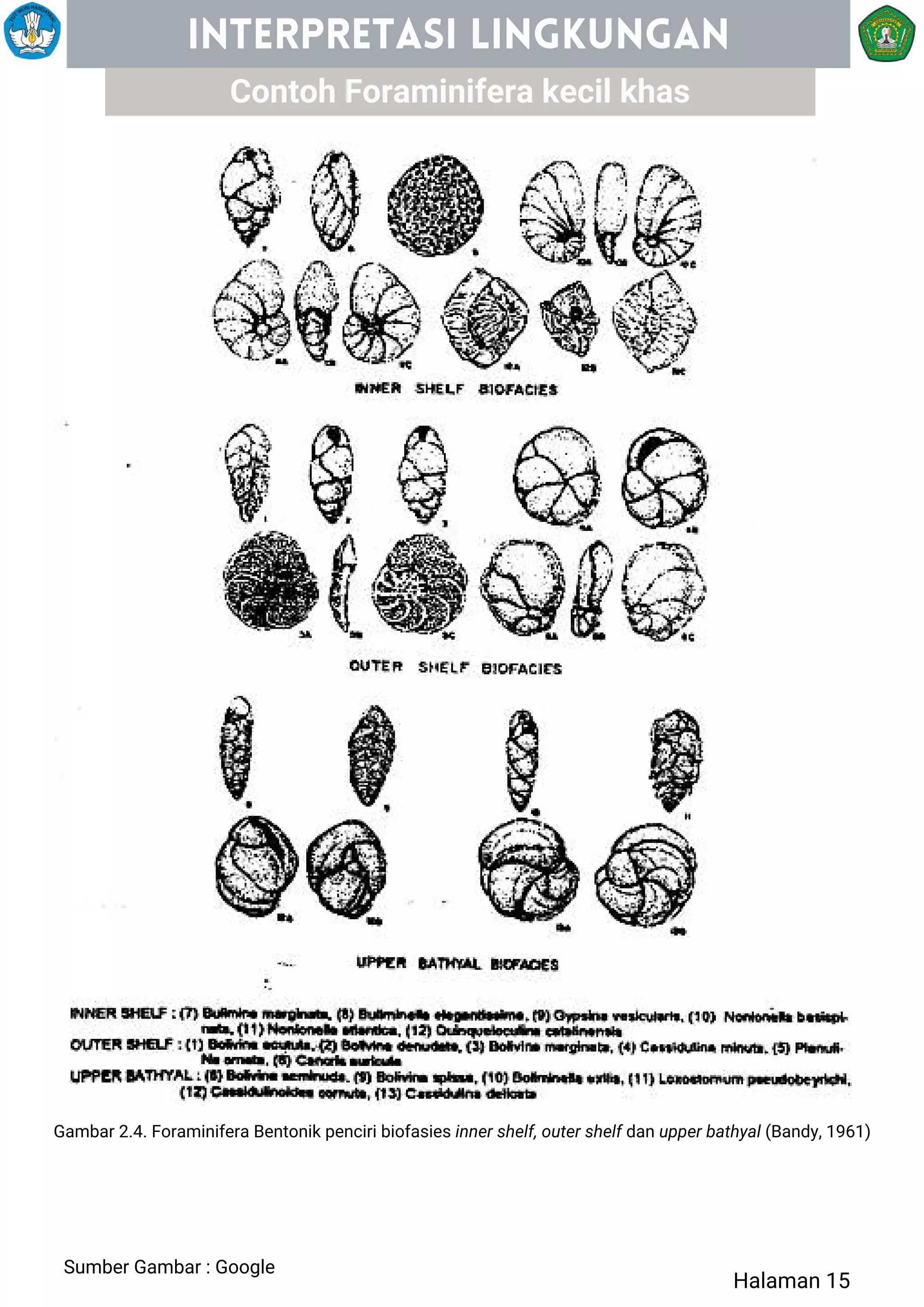 Mikropaleontologi.pdf