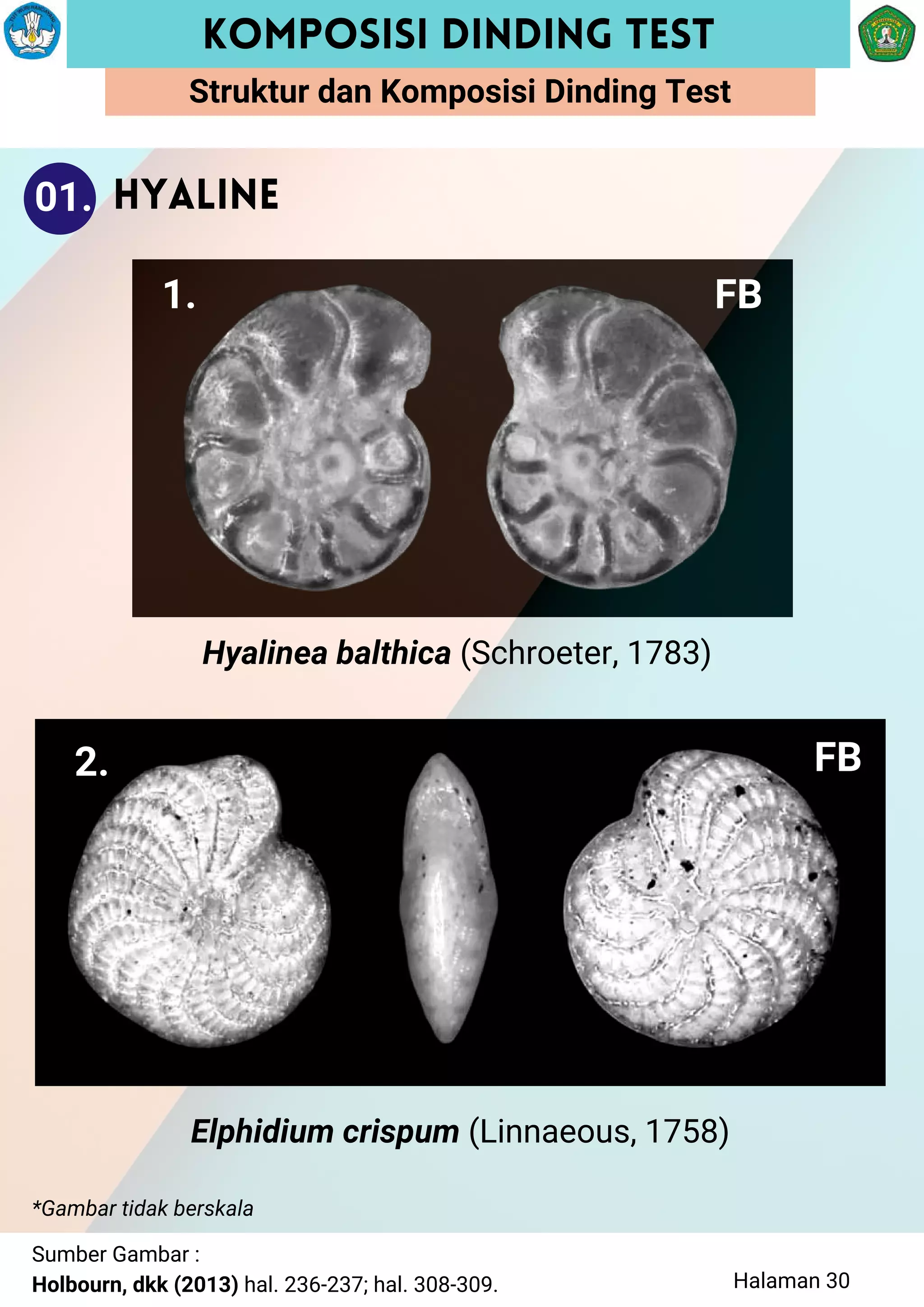 Mikropaleontologi.pdf