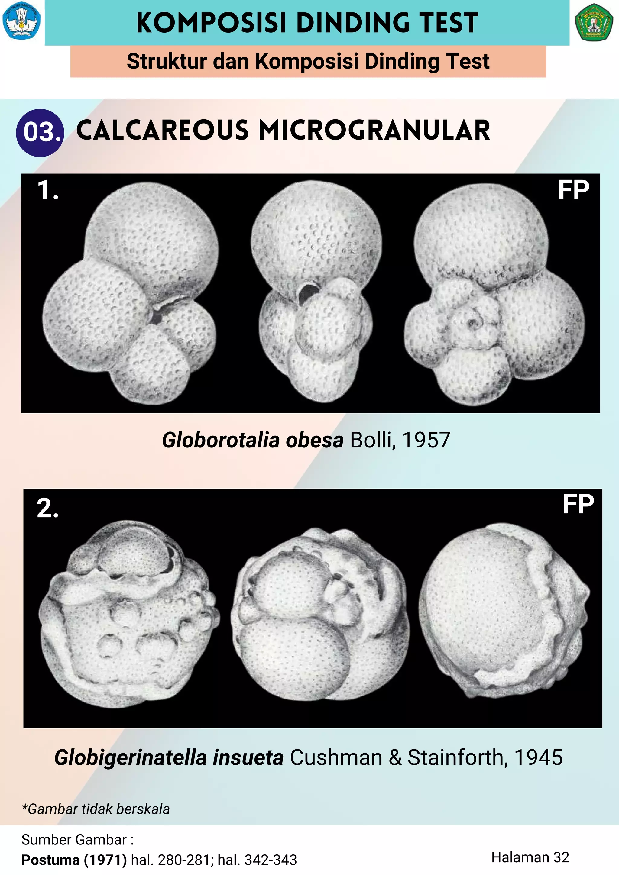 Mikropaleontologi.pdf