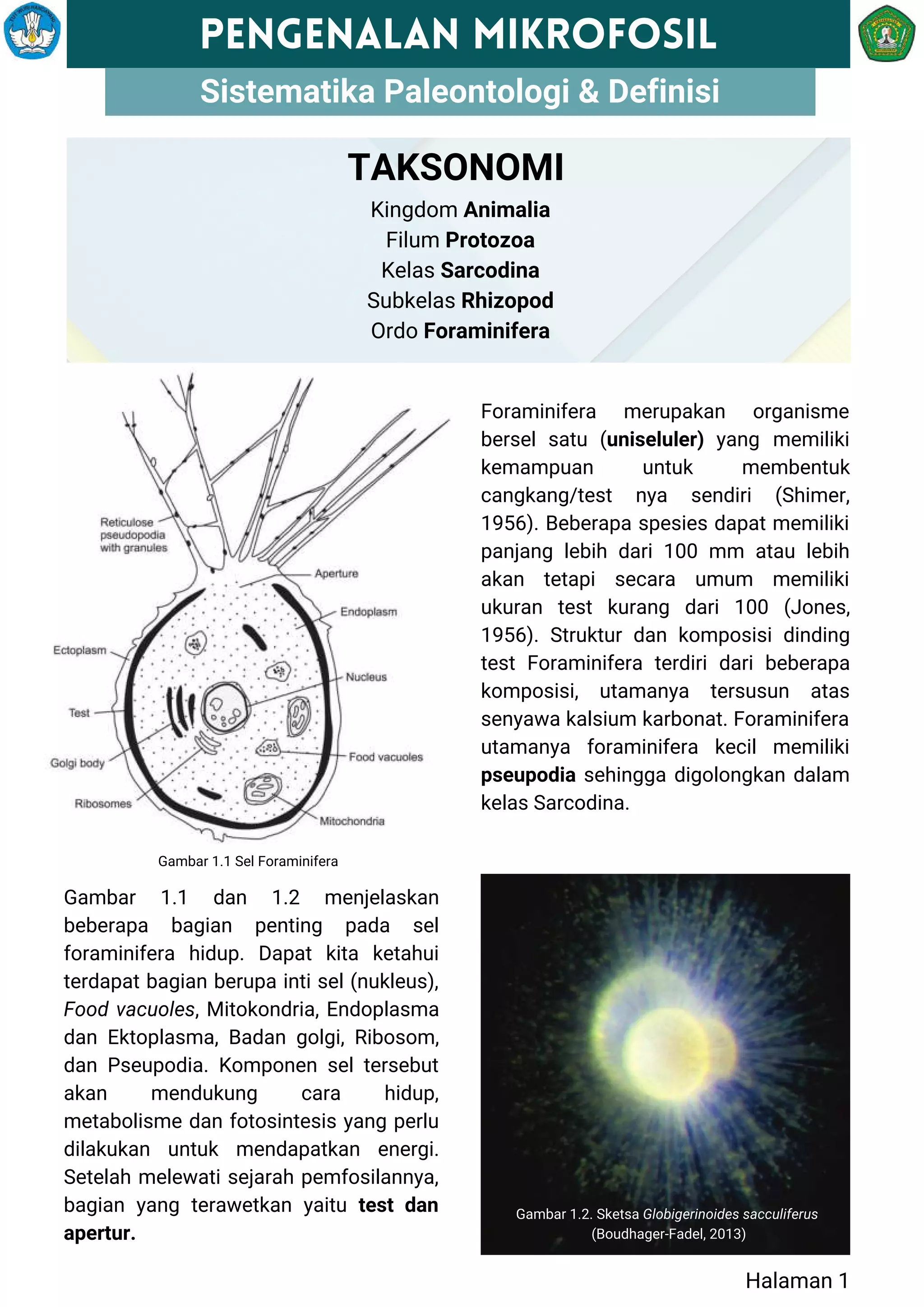Mikropaleontologi.pdf