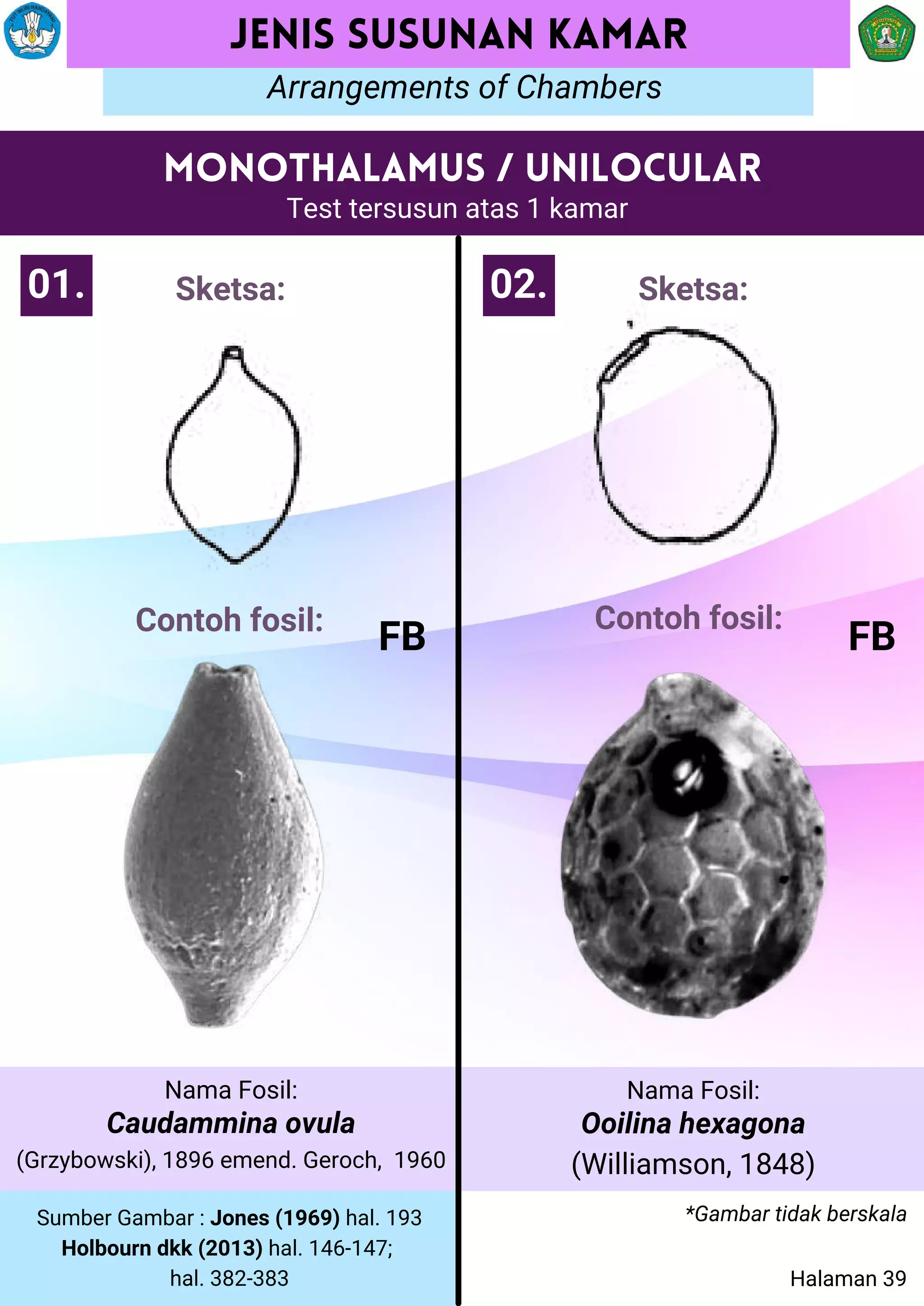 Mikropaleontologi.pdf