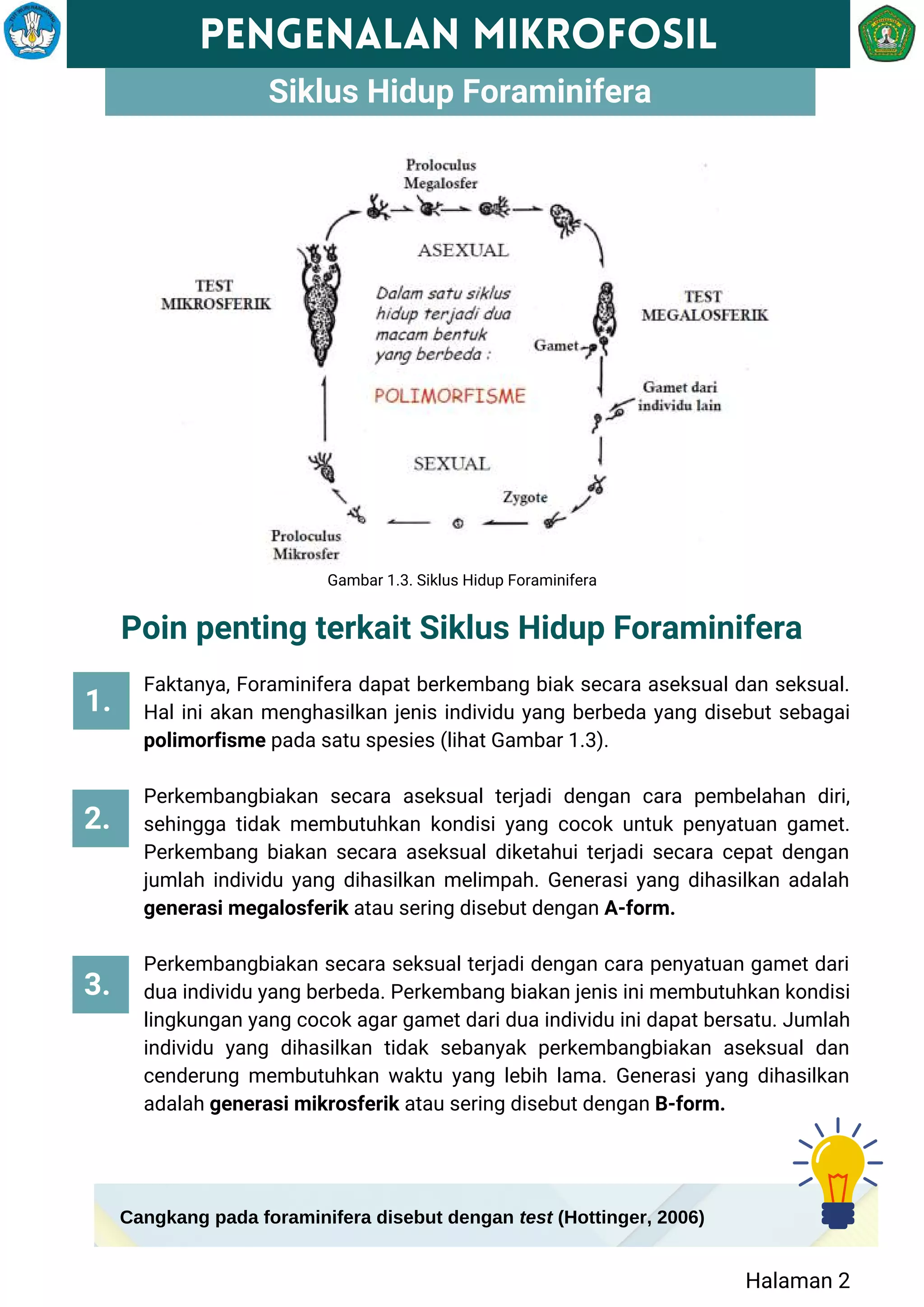 Mikropaleontologi.pdf