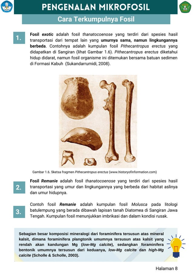Mikropaleontologi.pdf