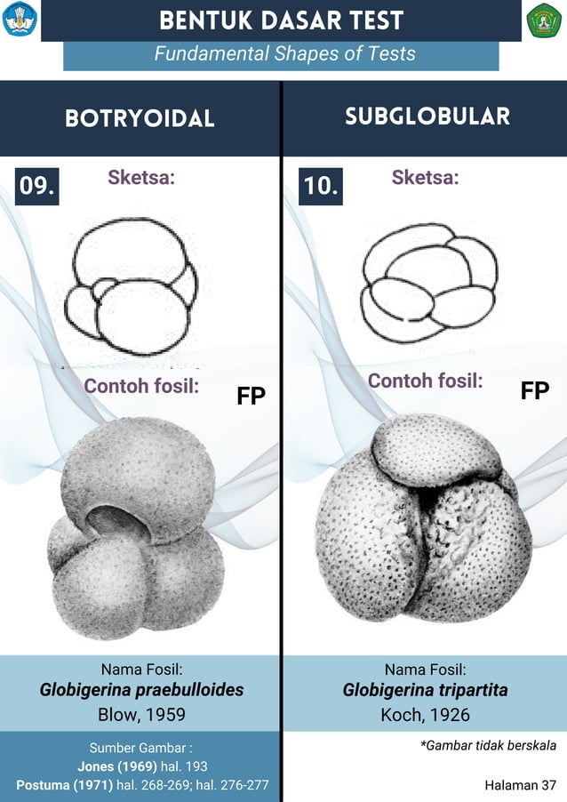 Mikropaleontologi.pdf