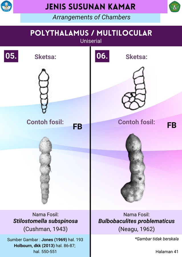 Mikropaleontologi.pdf