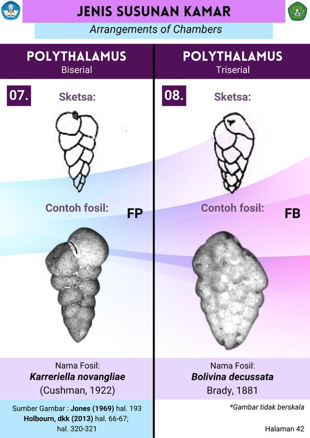 Mikropaleontologi.pdf